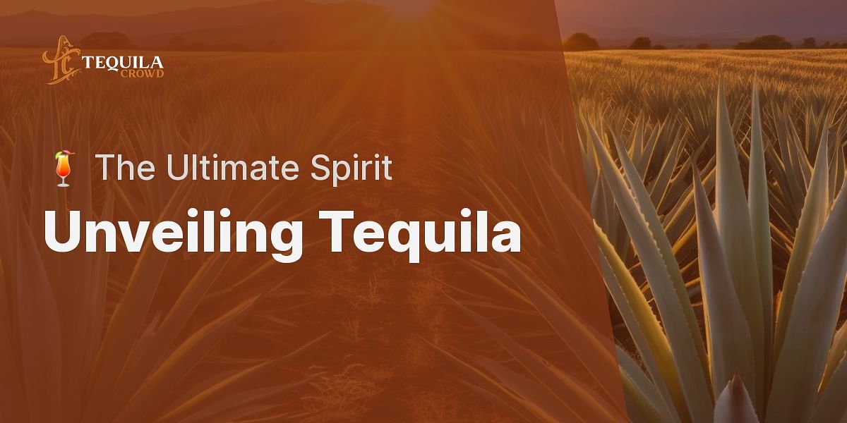 What is Tequila?